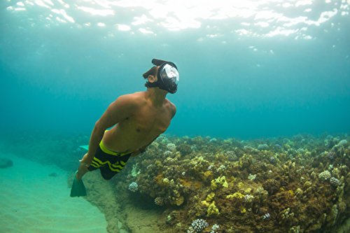 H2O Ninja 180° View Full Face Snorkel Mask - Legit Gifts