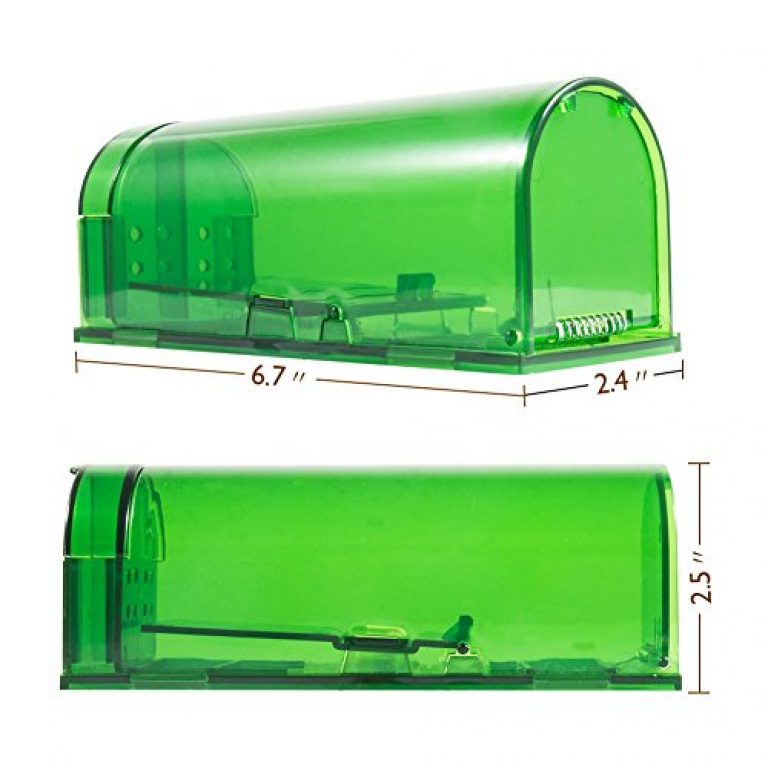 Humane Mouse Trap by Catcha - Catch and Release Rodents, Safe - Legit Gifts