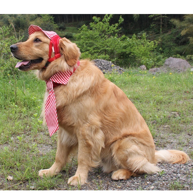 Pet Hats for Dogs & Cats - Newest and Cutest Way to Dress Your Pet ...