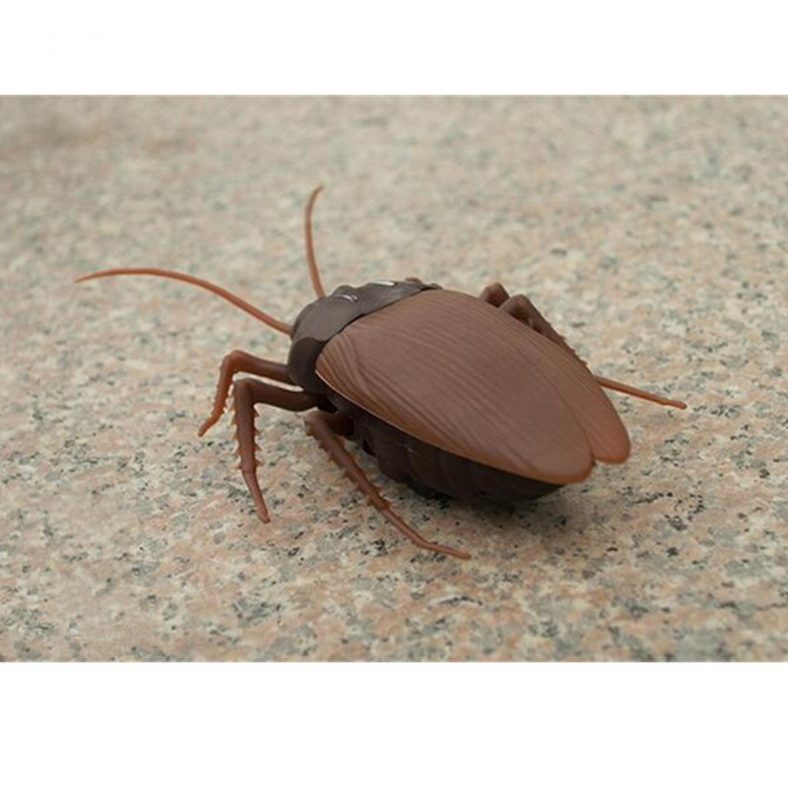 Remote Control Cockroach Is The Perfect Prank - Legit Gifts
