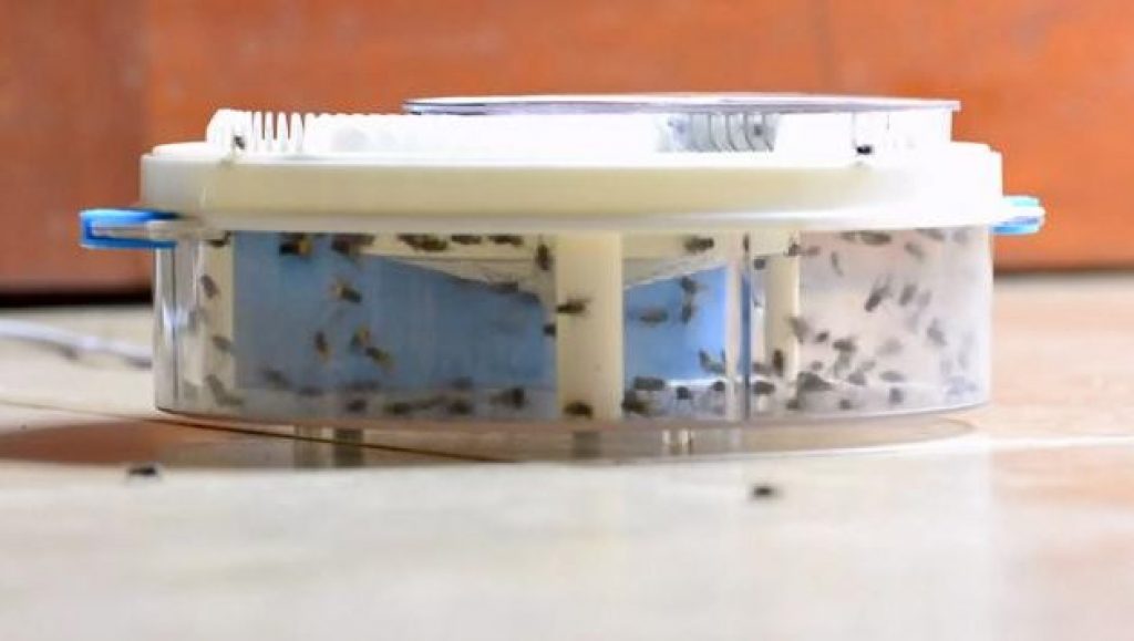 Electric Fly Trap - Legit Gifts